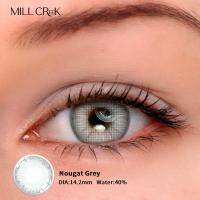 China Colored Cosmetic Opaque Gray Contact Lens Bluish Grey Contacts Eyewear 14.2mm for sale