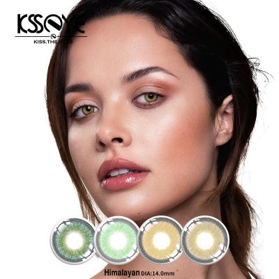 China Himalaya Grey Blue 14mm Contact Lens Yearly For Costume for sale