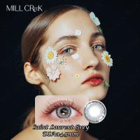 China Daily Colored Prescription 14.5 Mm Contact Lenses Saint Laurent Green Pink Purple Brown for sale