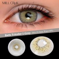 China 1 Year Soft Hazel Grey Eyes Lens Natural Cosplay Circle Lenses for sale