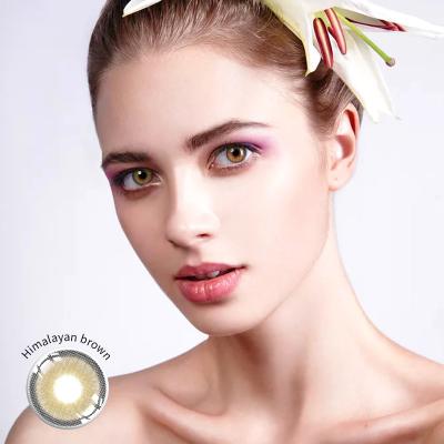 China Tricolor Natural Color Contact Lens Circle Yearly Himalaya Grey Brown Blue for sale
