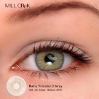 China Custom Natural Colored Misty Grey Lens Contacts For Dark Eyes 14.2mm for sale
