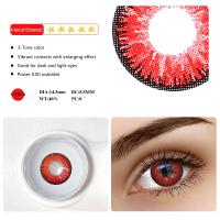 China Vika Series Cosplay Contacts Lenses Color Beautiful Pupil Eyes for sale