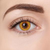 China OEM Crazy Halloween Color Contact Lense for sale