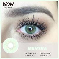China OEM Yearly Soft Cosmetic Contact Lenses Multi Colored for Eyes beauty for sale