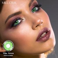 China OEM Yearly gray green contact lenses Prescription Power Soft Eye for sale
