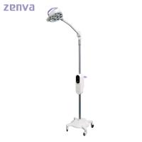 China Clinic Aluminum Alloy Surgical OT Lamp Battery Medical Operated Lights For Hospital for sale