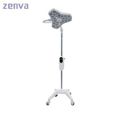 China Clinic Aluminum Alloy Surgical OT Lamp Battery Medical Operated Lights For Hospital for sale