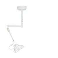 China Veterinary Gynecology Clinics Surgical Exam Lamp Hospital Medical Equipment 96 Ra for sale