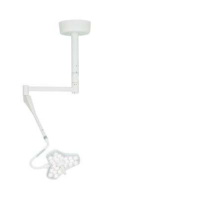 China Veterinary Gynecology Clinics Surgical Exam Lamp Hospital Medical Equipment 96 Ra for sale