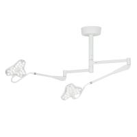 China Minor Surgical Exam Lamp Veterinary Operating Room Examination Led Light for sale