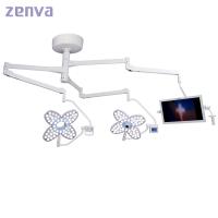 China Operating Equipment Double Dome Led Medical Shadowless Lamp With Camera TV for sale