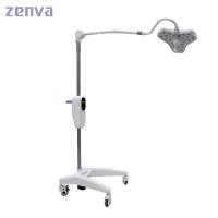 China Hot Sale 300mm Head Dia Shadowless Surgical Light White Portable Led Lamps for sale