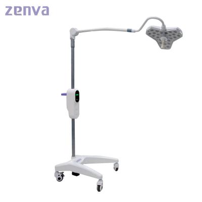 China Hot Sale 300mm Head Dia Shadowless Surgical Light White Portable Led Lamps for sale