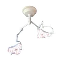 China Double Dome 48pcs LED Shadowless Operating Lamp for sale