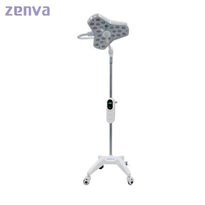 China LED Medical Shadowless Operation Theatre Light EXLED 300EM Surgical Ot Light for sale