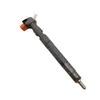 China 28489562 25195088 28264952 25183185 Diesel Fuel Injector for Chevrolet Captiva Cruze Orlando for sale