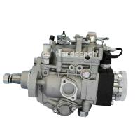 China 196000-4910 VE4 12F1150RND491 Fuel Pump for FORK LIFT 2Z 22100-78730-71 221007873071 Fuel Injection Pump for sale
