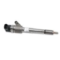 China 0445110260 0305BC0401N Common Rail Fuel Injector for Mahindra Scorpio 2.6 for sale