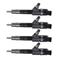 China 0445110748 Diesel Fuel Injector 0445 110 748 for Changchal for sale