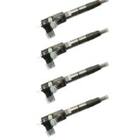 China 0445110364 0445110365 Common Rail Fuel Injector Nozzle for QUANCHAI for sale