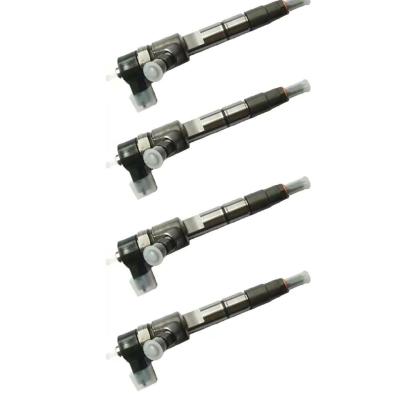 China 0445110364 0445110365 Common Rail Fuel Injector Nozzle for QUANCHAI for sale