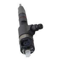 China 0445110075 96386523 Diesel Fuel Injector Assy for Citroen Peugeot for sale