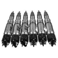China 0445120265 612630090028 Common Rail Fuel Injector for Weichai Wp12 for sale