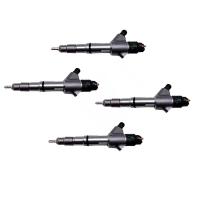 China 0445120224 612600080618 Diesel Fuel Injector for Weichai Wp10 Shacman for sale