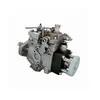 China VE4 11F1300RNP2488 104641-7260 104741-7260 VE Fuel Pump 6204711320 for Komatsu 4D95L for sale