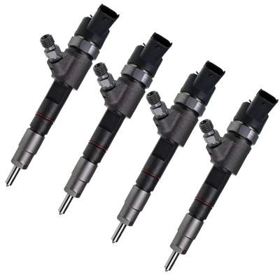 China 0445110672 0445110672 Diesel Fuel Injector for Isuzu Nk for sale