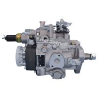 China 504042214 0460424299 Ve4/12f1250L982 Fuel Injection Pump for Ive-co case for sale