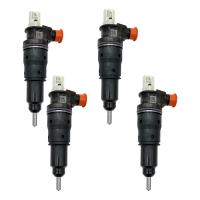 China 85022038 Bebj1f13001 Common Rail Fuel Injector for Vol-vo P3231d13 for sale