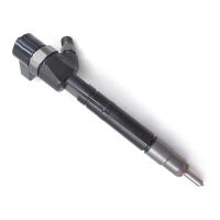 China 0445110034 A6130700187 Diesel Fuel Injector for Mercedes-Benz for sale