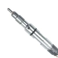 China 0445120196 10117168 0445120128 Diesel Fuel Injector for Liebherr for sale