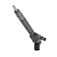 China 0445110010 A6110700487 Diesel Fuel Injector for Mercedes C200 C220 E200 E220 V200 V220 Vito for sale
