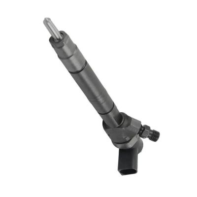 China 0445110010 A6110700487 Diesel Fuel Injector for Mercedes C200 C220 E200 E220 V200 V220 Vito for sale