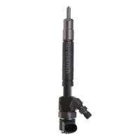 China 0445110055 A6110701187 Common Rail Diesel Fuel Injector for Mercedes-Benz for sale