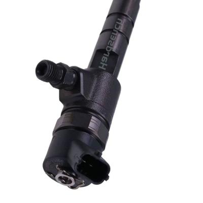China 0445110694 Diesel Fuel Injector for Wolf Isuzu Engine for sale