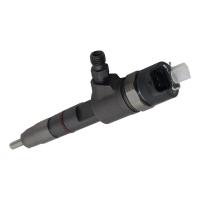China 0445110791 Common Rail Diesel Fuel Injector for 4D22ea Diesel Engine for sale
