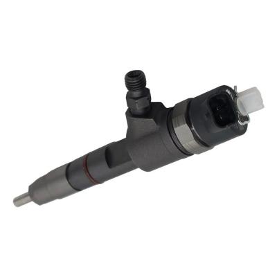 China 0445110791 Common Rail Diesel Fuel Injector for 4D22ea Diesel Engine for sale