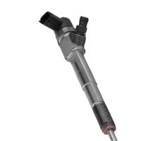 China 0445110181 A6120700487 Common Rail Diesel Fuel Injector for Dodge Mercedes E320/S320 for sale