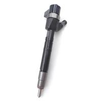 China 0445110024 A6110700687 Diesel Injection Fuel Injector for Mercedes-Benz/Smart for sale