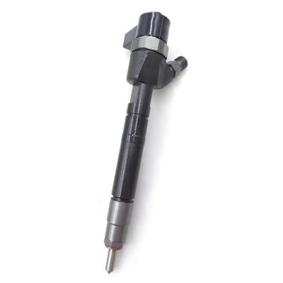 China 0445110024 A6110700687 Diesel Injection Fuel Injector for Mercedes-Benz/Smart for sale