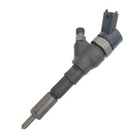 China Common Rail Diesel Fuel Injector 0445110062 0986435077 9640088780 for Citroen FIAT Scudo Peugeot for sale