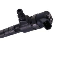 China Diesel Fuel Injector 0445110757 Common Rail Injectors 0445110756 for Changchai for sale