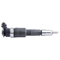China Diesel Fuel Injector 0445110566 9802776680 Injector for Peugeot/Citroen/Ford for sale