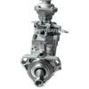 China Diesel Fuel Injection Ve Pump 0460426292 Ve6/12f1150r819 500326169 for Iv-eco-FIAT for sale