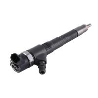 China 0445110248 5043801170 Common Rail Injector 0445 110248 Diesel Fuel Injector 0445 110 248 for for Lveco Daily3.0 for sale