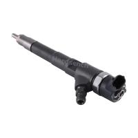 China 0445110248 5043801170 Common Rail Injector 0445 110248 Diesel Fuel Injector 0445 110 248 for for Lveco Daily3.0 for sale